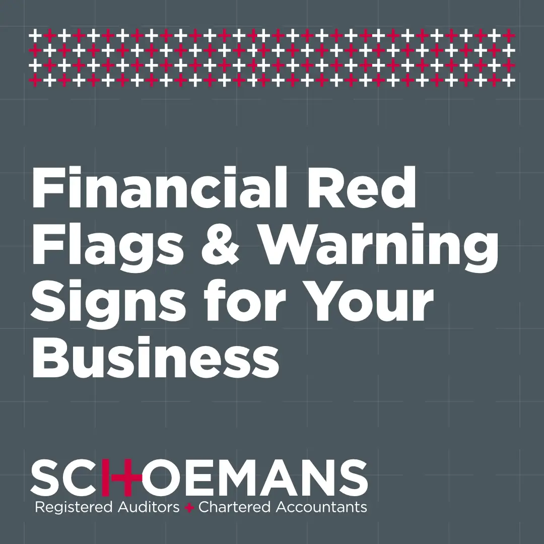 Financial Red Flags — Warning Signs Your Business Needs Professional ...